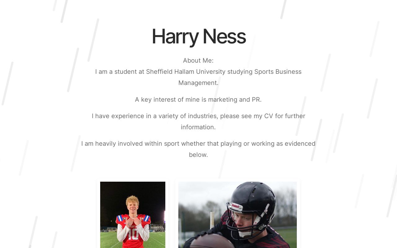 Harry Ness Portfolio